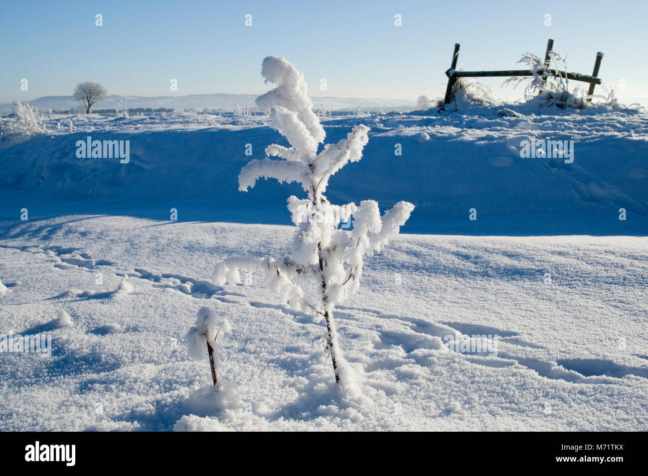 Snow covered farmland in the west Lancashire village of Rufford ...
