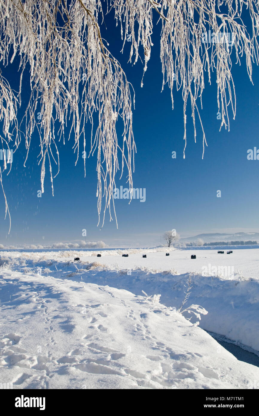 Snow covering farmland in the west Lancashire village of Rufford ...