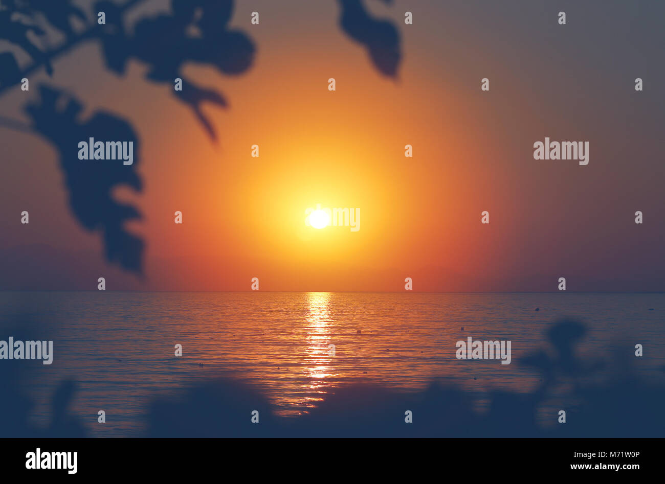 Beautiful sea sunset at the sea photographed in close-up Stock Photo ...