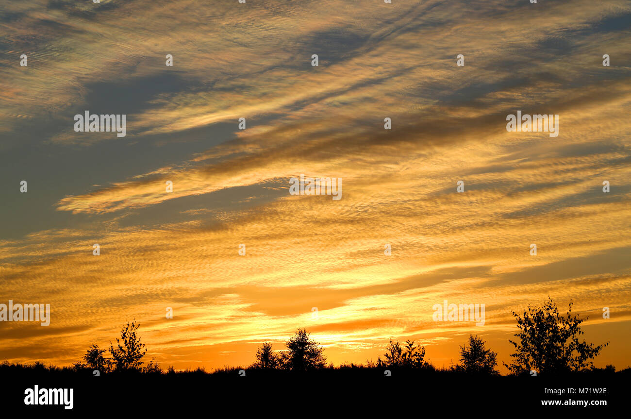 Beautiful sea sunset at the sea photographed in close-up Stock Photo ...