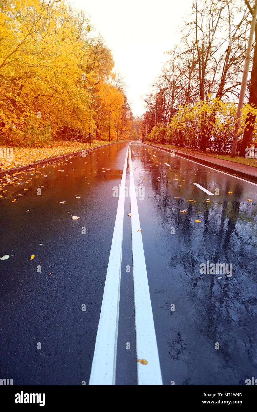 Sunbeam after rain in hi-res stock photography and images - Alamy