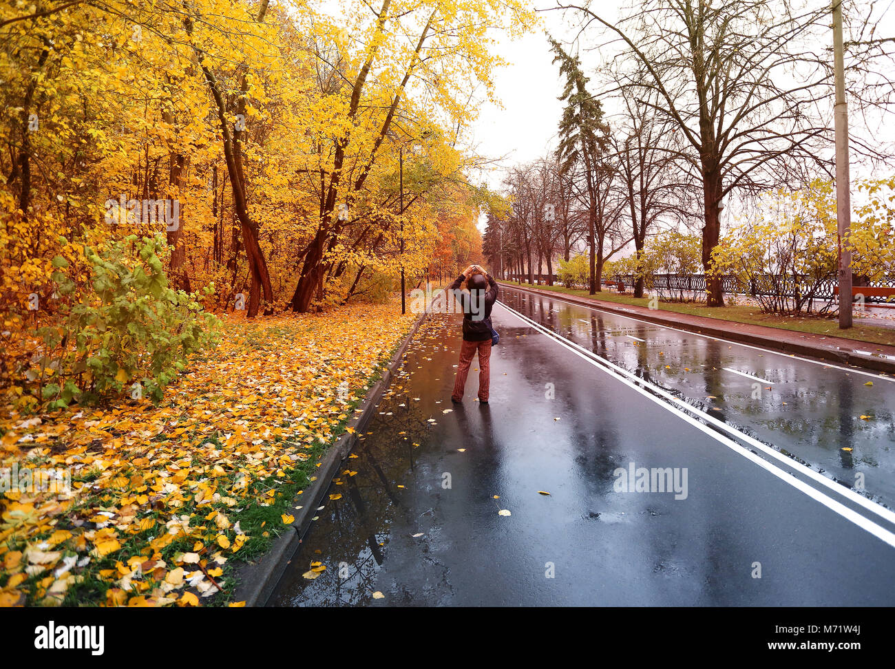 Beautiful paved road in the autumn forest after rain Stock Photo - Alamy