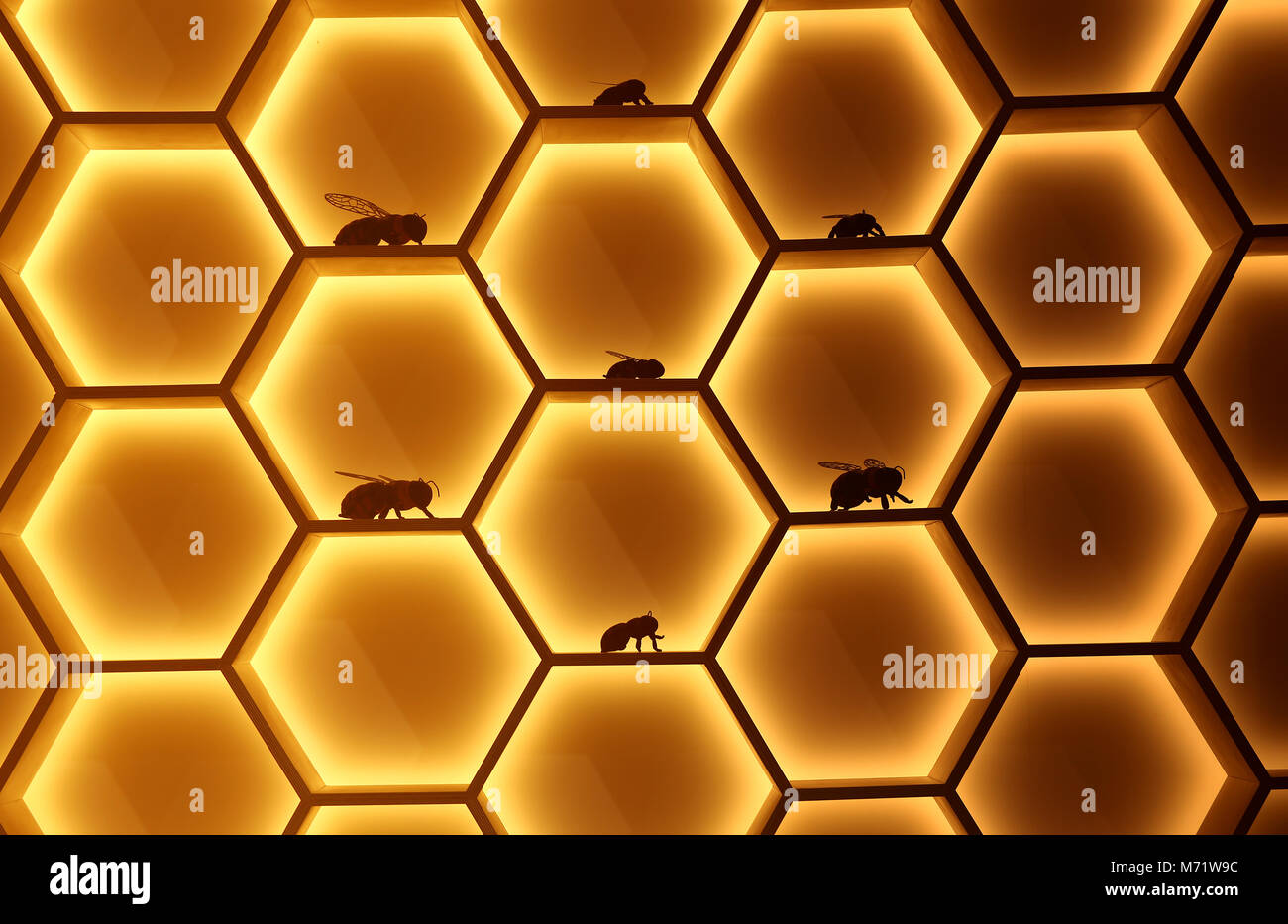 The layout of a honeycomb with bees Stock Photo - Alamy