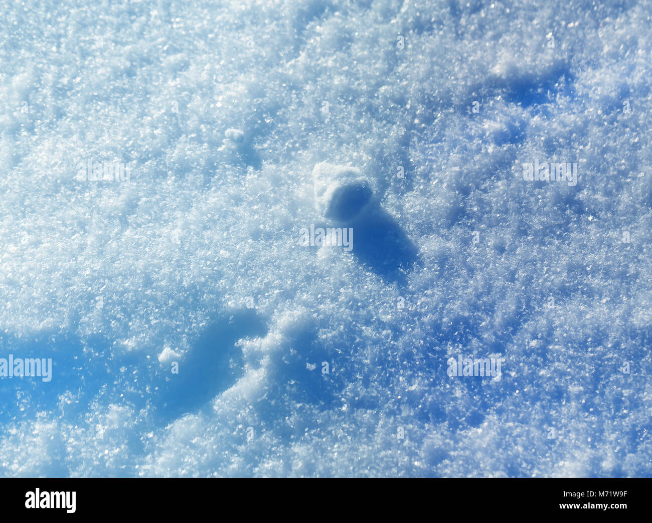 Beautiful white snow photographed in close up Stock Photo - Alamy