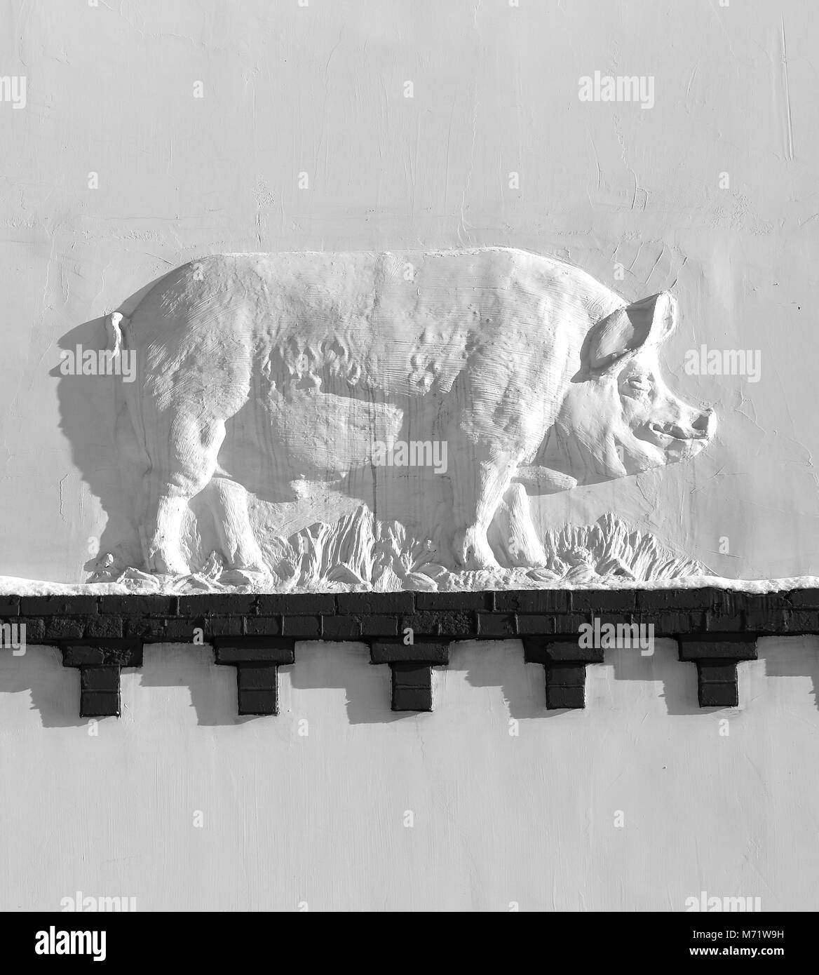 Beautiful sculptures of pigs on the wall of a building photographed in ...