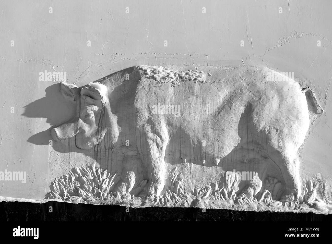 Beautiful sculptures of pigs on the wall of a building photographed in ...
