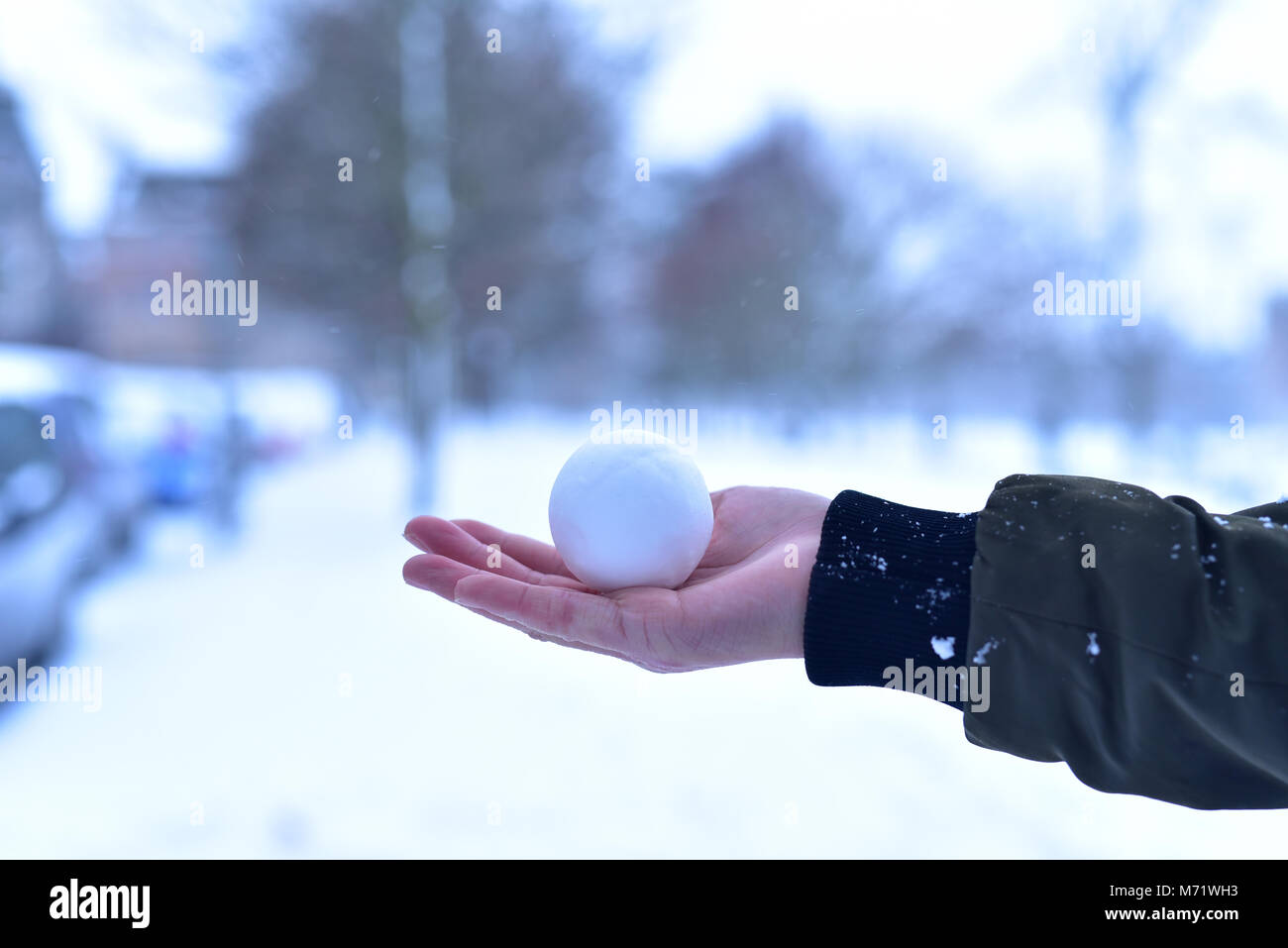 Holding the perfect round snowball Stock Photo - Alamy
