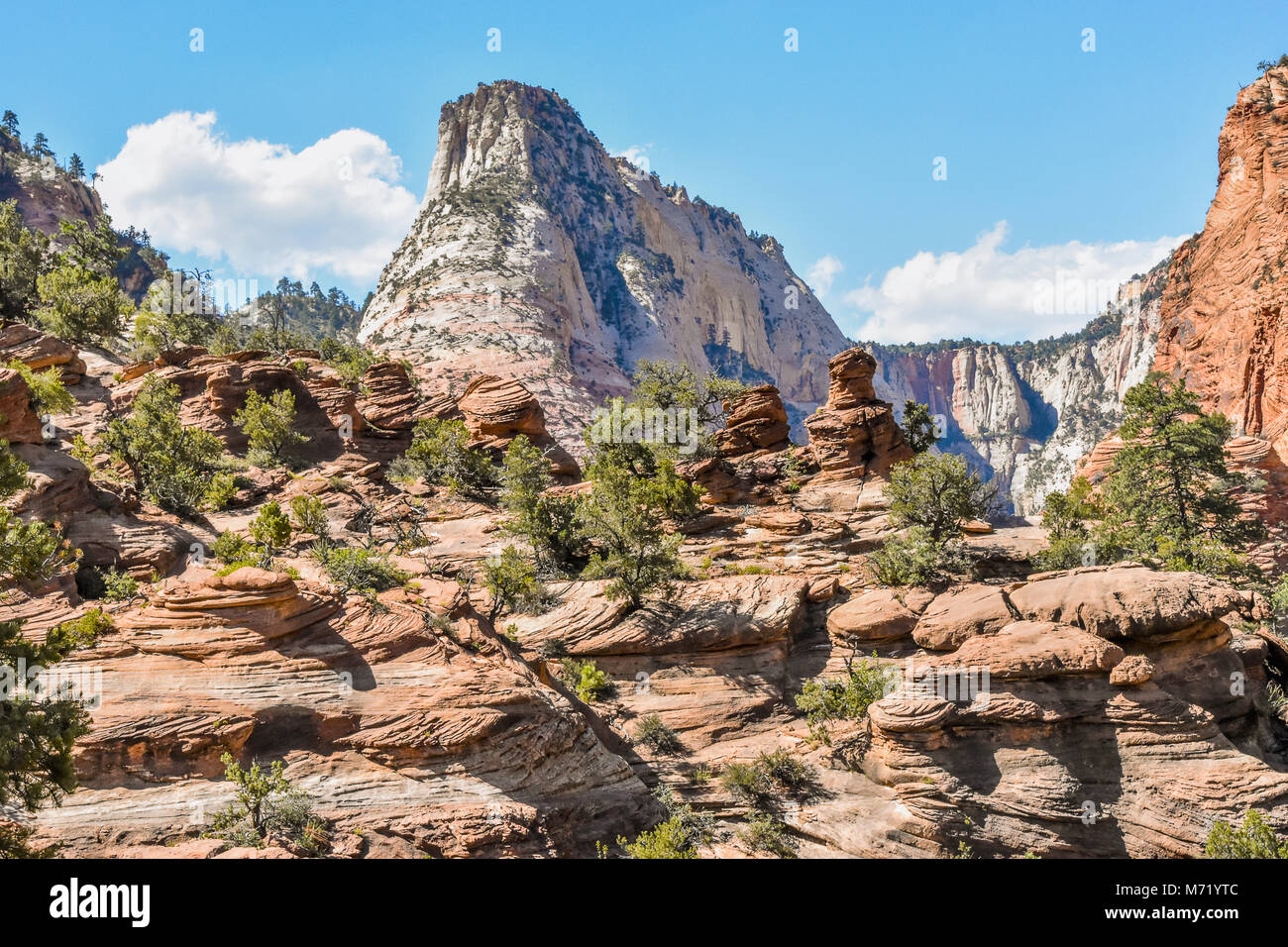 A view from Canyon Overlook Trail in Zion National Park Utah Stock ...
