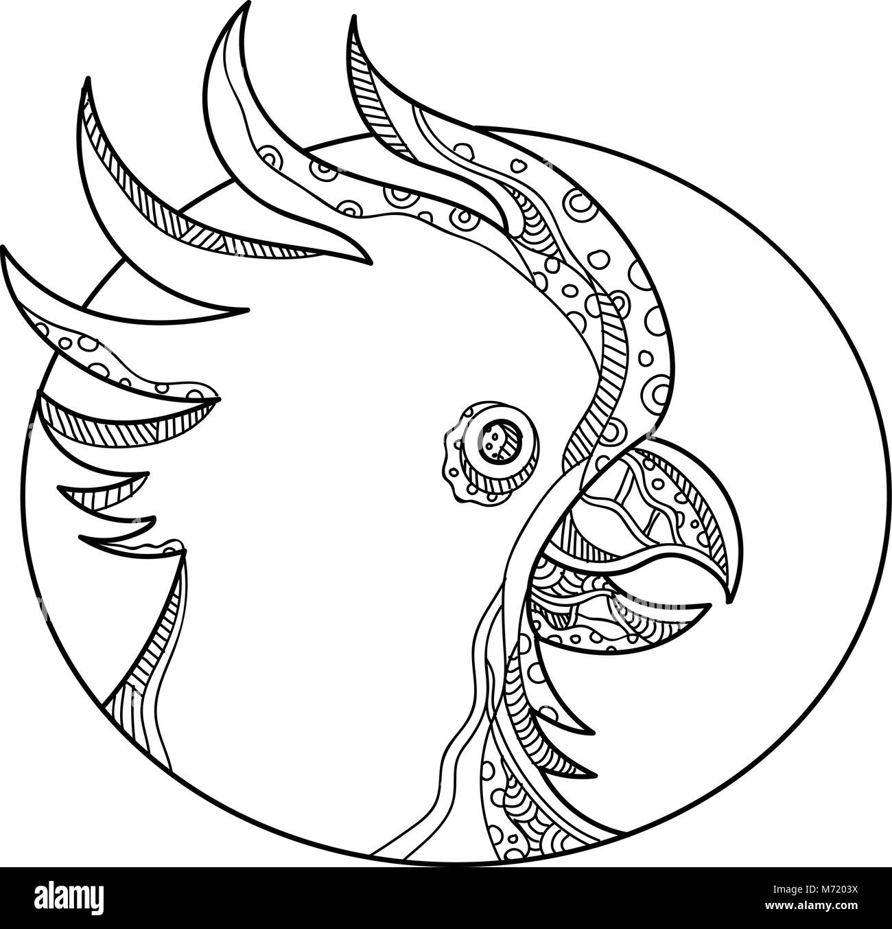 Doodle art illustration of head of cockatoo, a parrot that belongs to ...