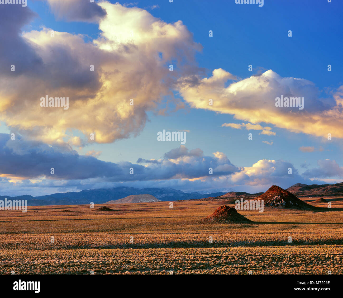 Toquima range hi-res stock photography and images - Alamy