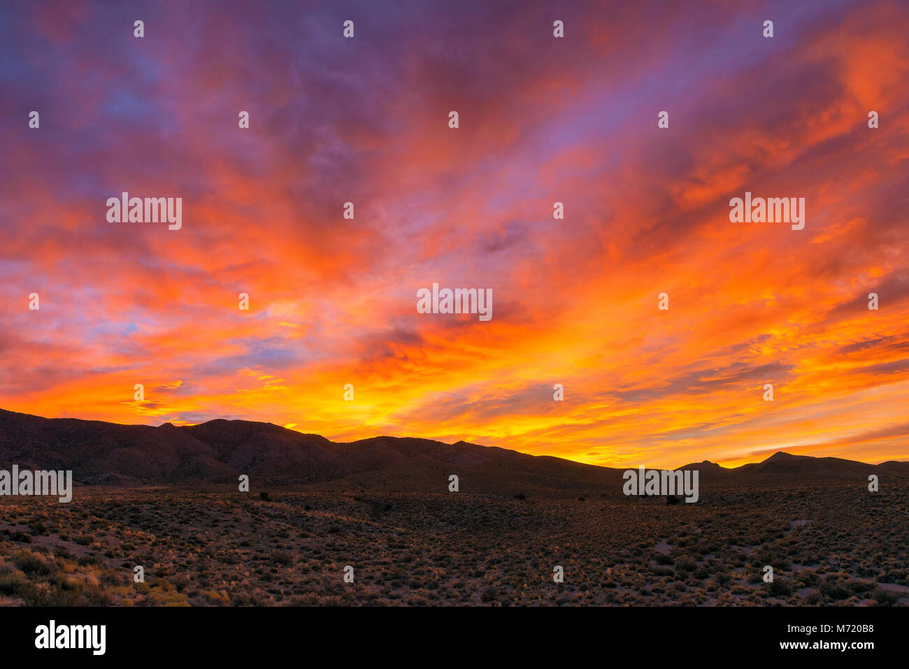 Toquima Range High Resolution Stock Photography and Images - Alamy