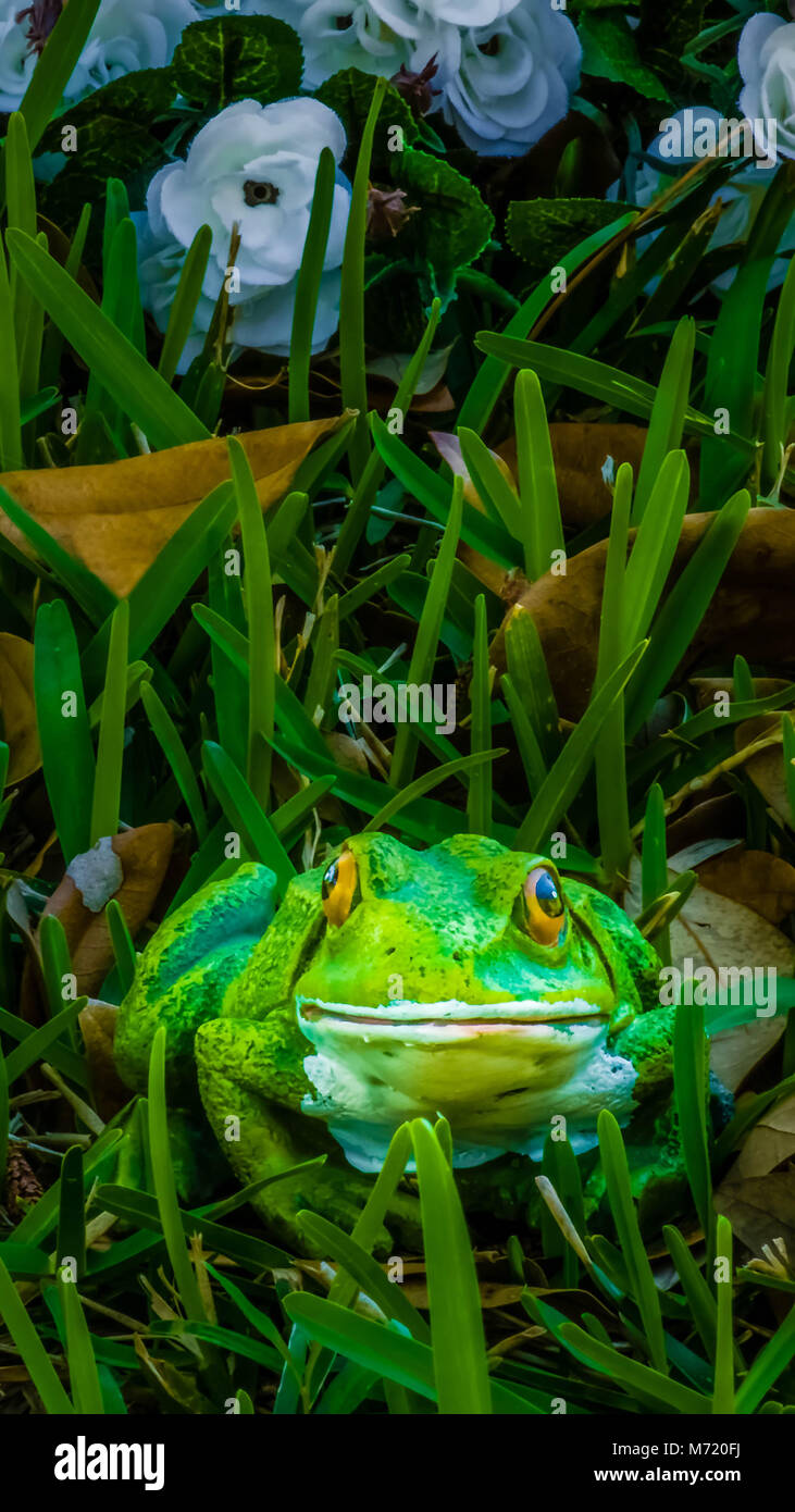 A frog hides in the grass in front of white flowers Stock Photo - Alamy