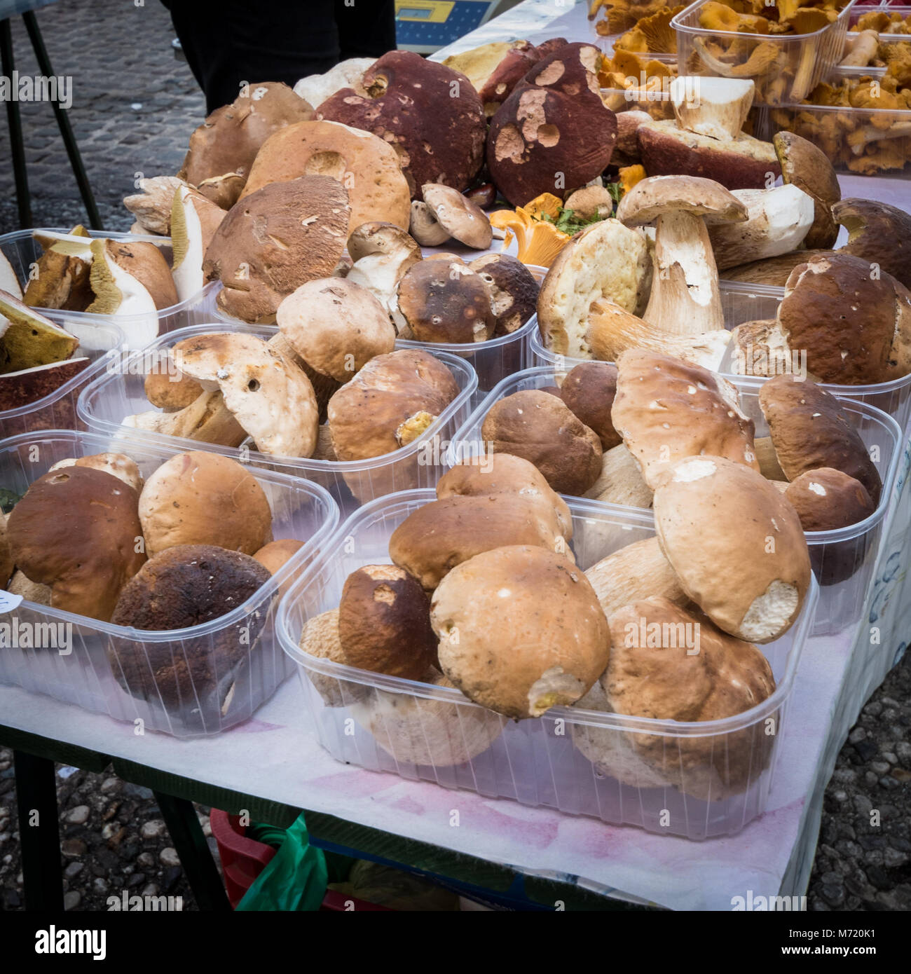 Mushroom Stall, Market Square, Ljubljana, Slovenia Stock Photo - Alamy