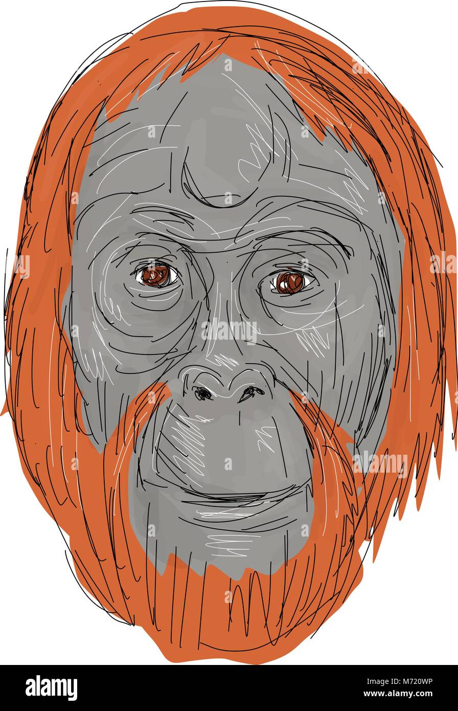 Drawing sketch style illustration of head of an unflanged male ...