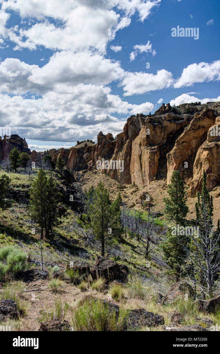 Smith Rock in Terrebonne Oregon is a world class climbing destination ...