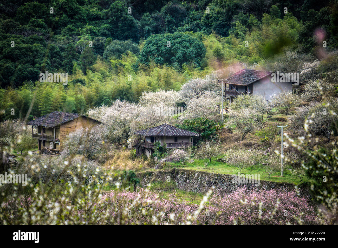Countryside view yongtai hi-res stock photography and images - Alamy