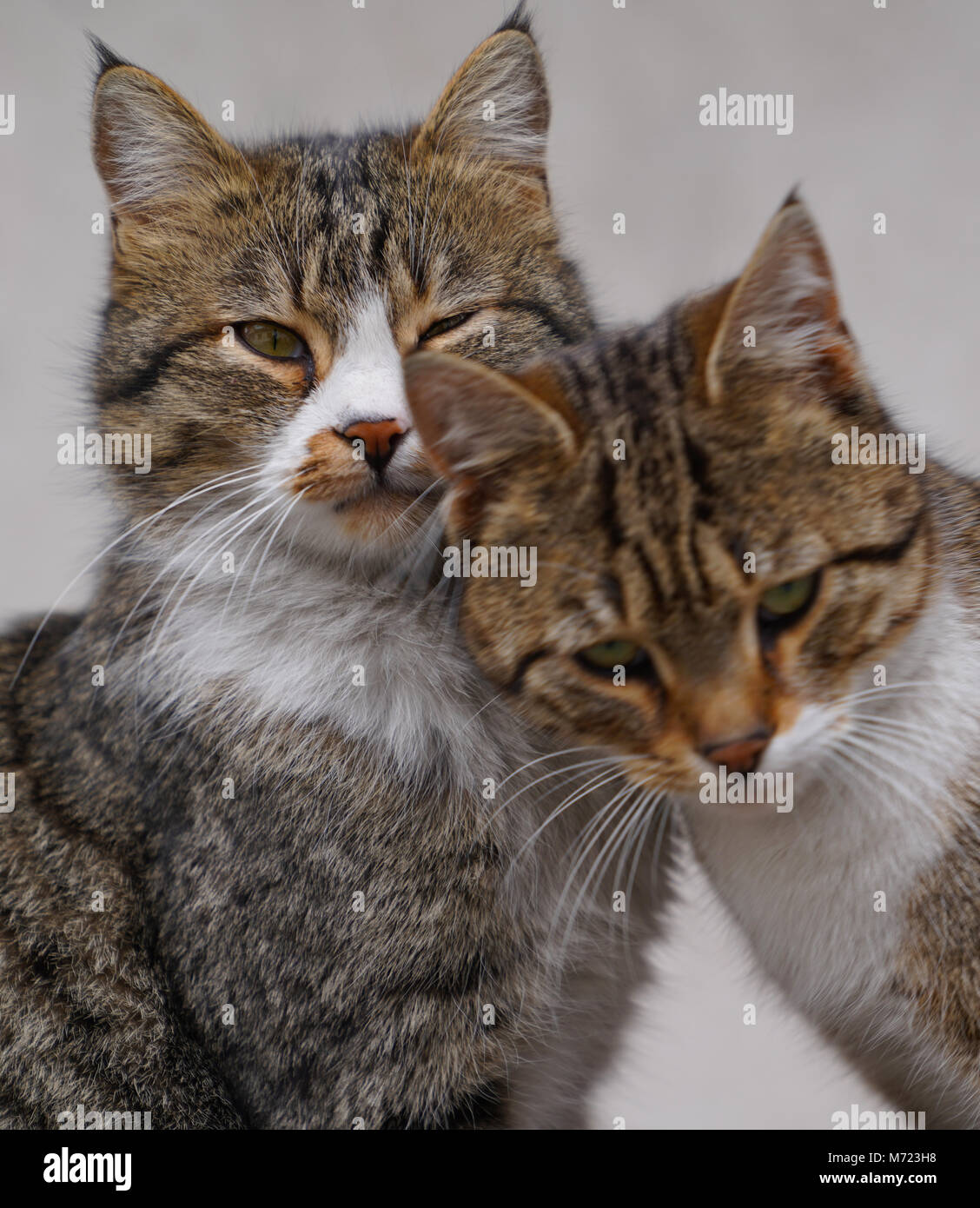 Loving others hi-res stock photography and images - Alamy