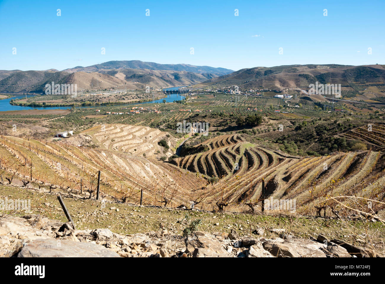 Vineyards at Douro river valley in autumn, Uncesco world heritage ...