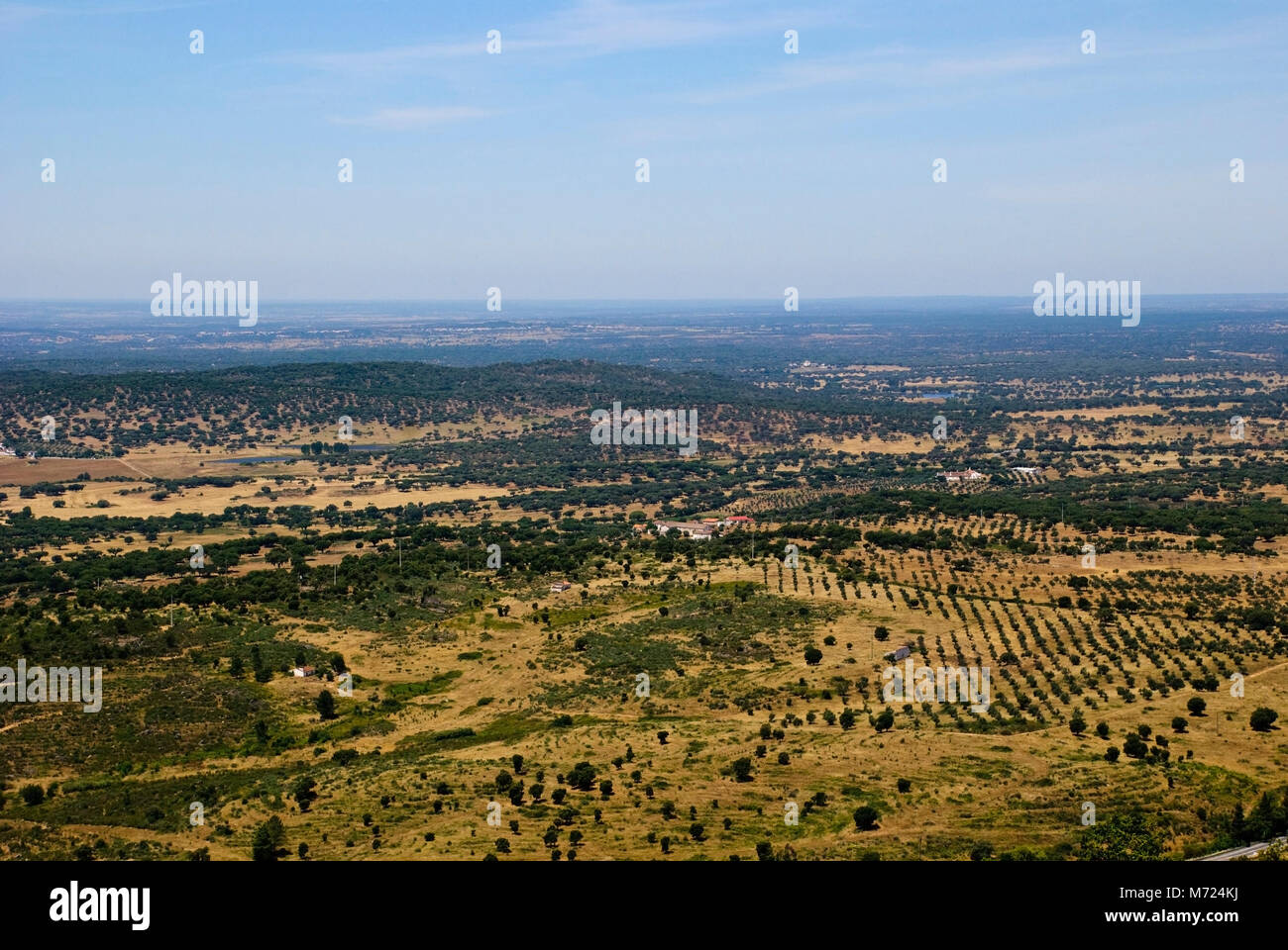 Dry landscpe with olive trees in Alentejo, Portugal Stock Photo - Alamy