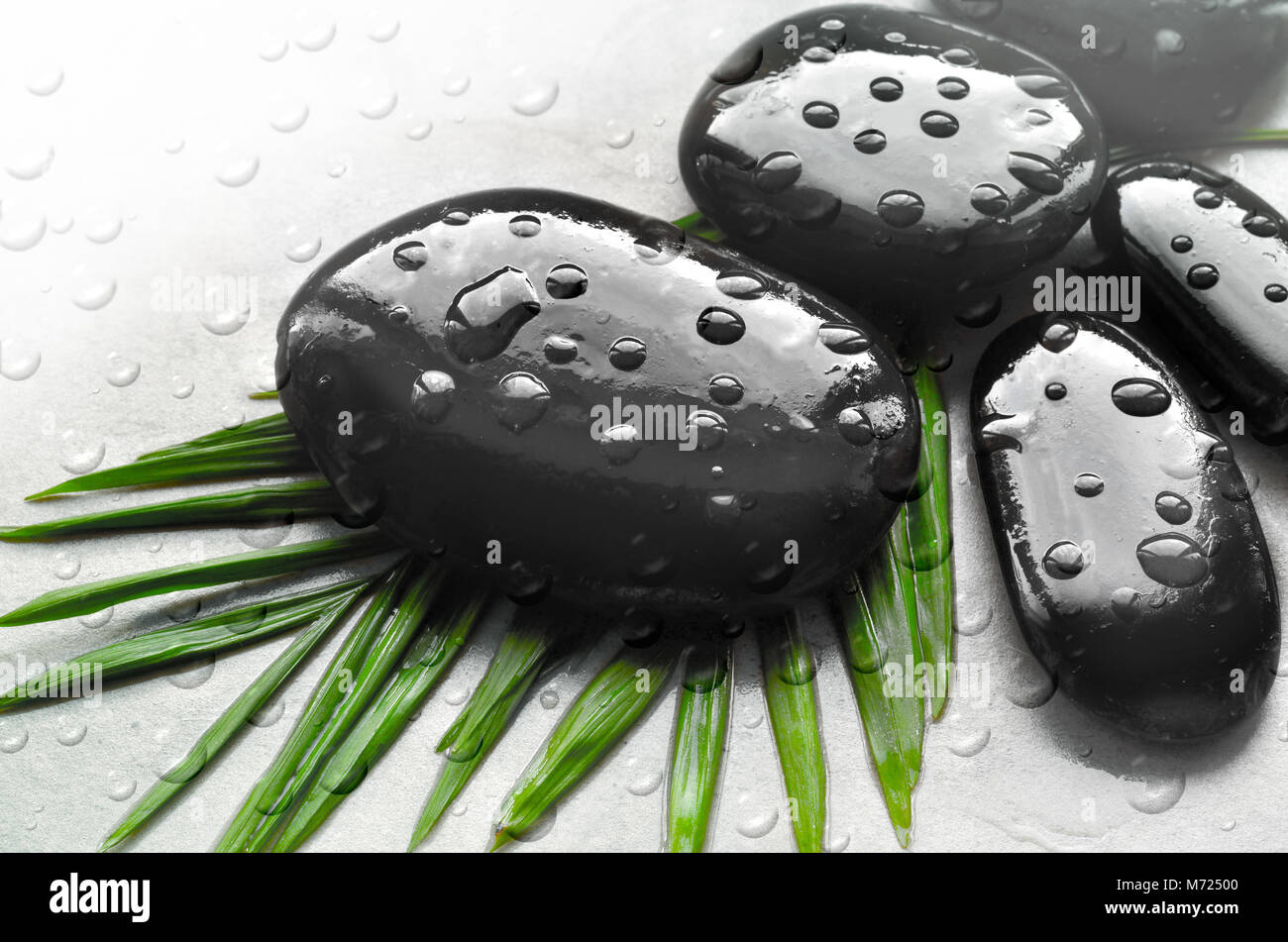 Grey spa background, moisturizing concept, palm leaves and black wet ...