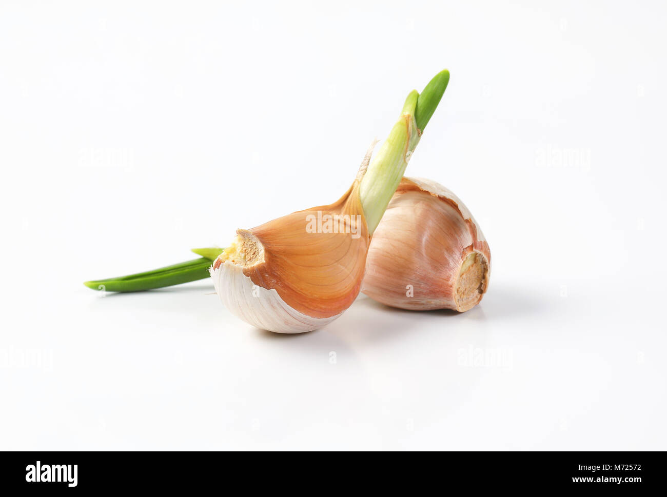 Organic garlic cloves on Cut Out Stock Images & Pictures - Alamy