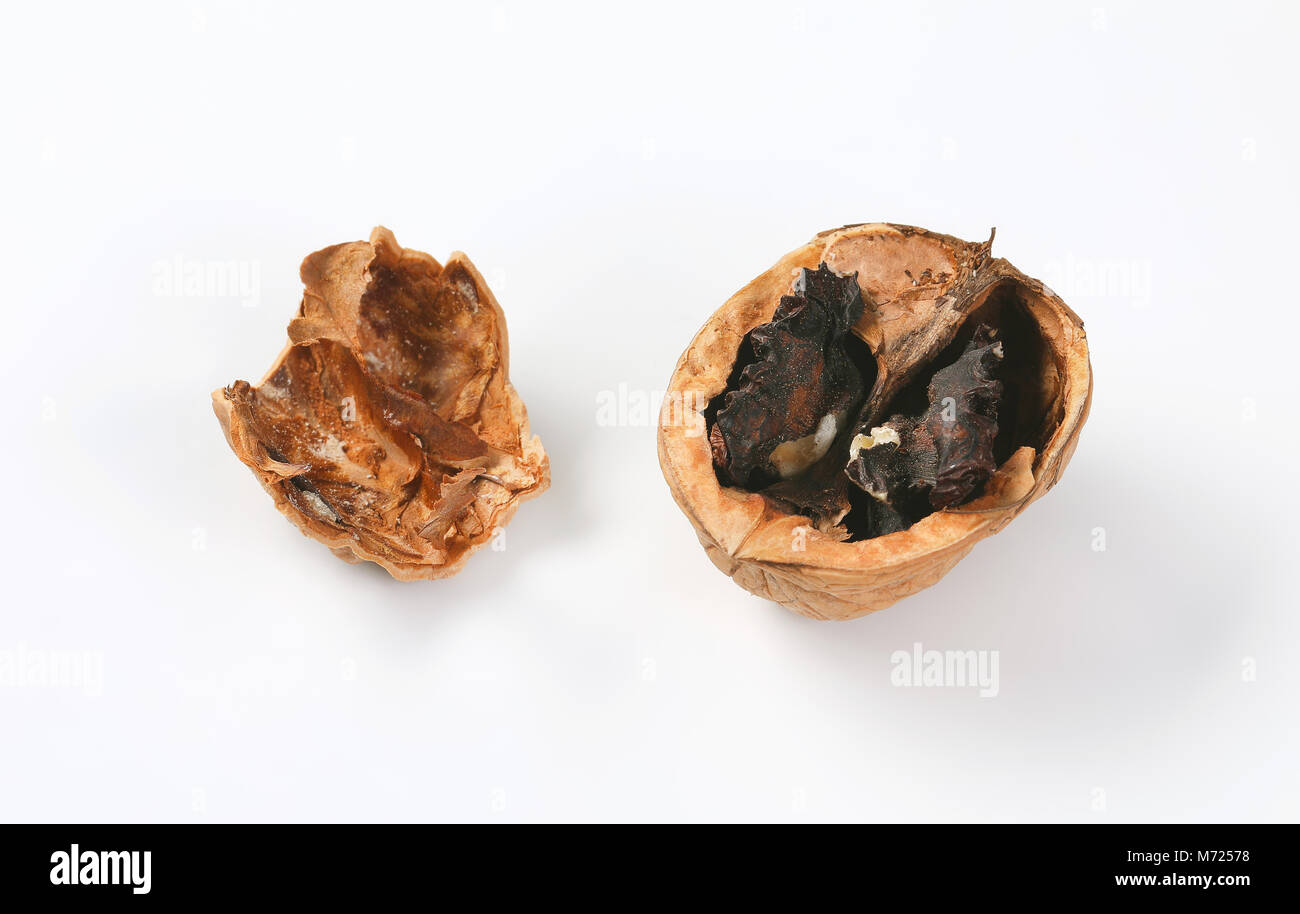 Nut shells hi-res stock photography and images - Alamy