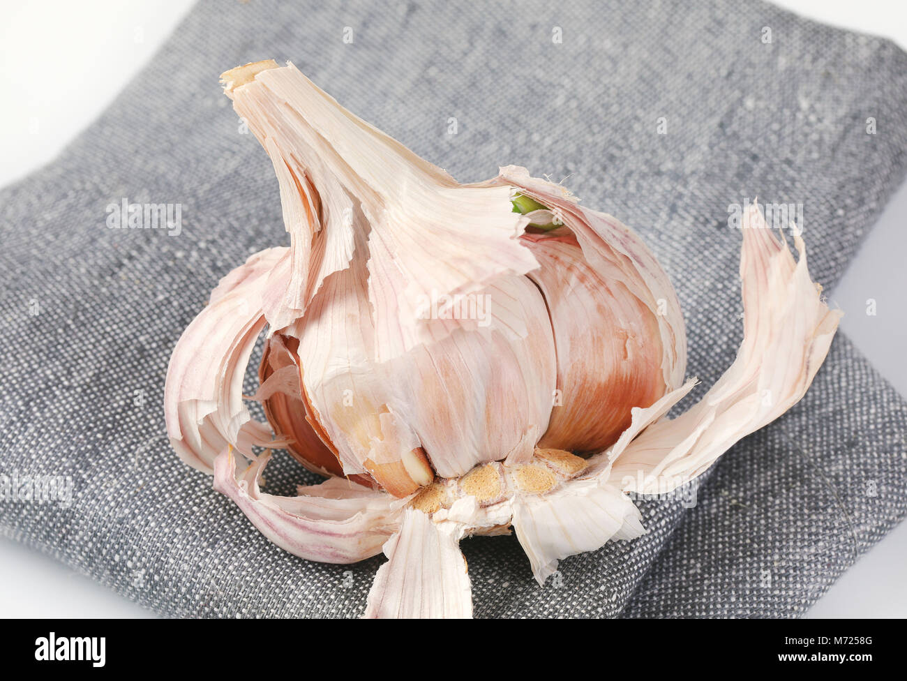 bulb of fresh garlic on grey place mat - close up Stock Photo - Alamy