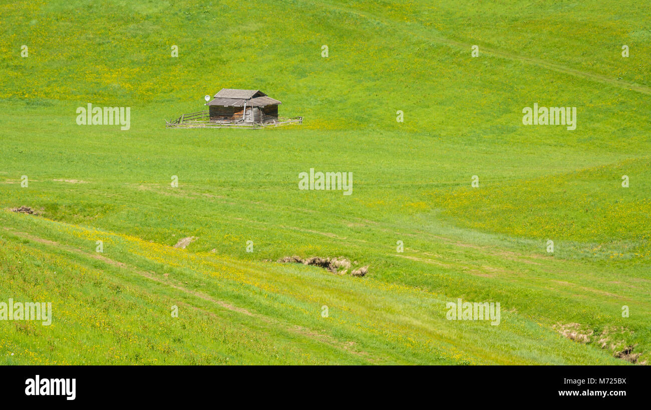 Small barn in the green meadow of the mountains of Trentino Alto Adige ...