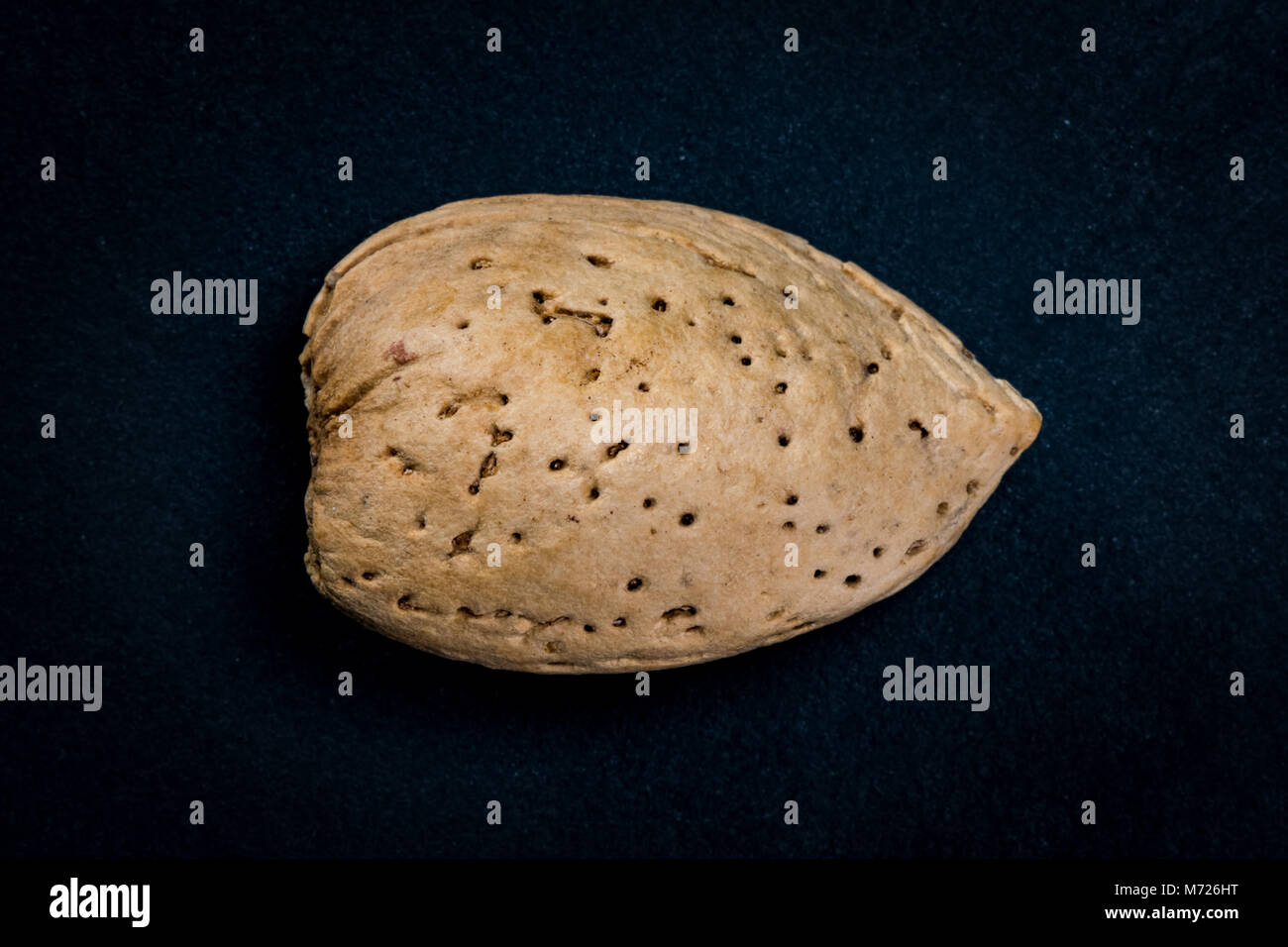 Almond Shell on Dark Background with highlighting effect Stock Photo ...