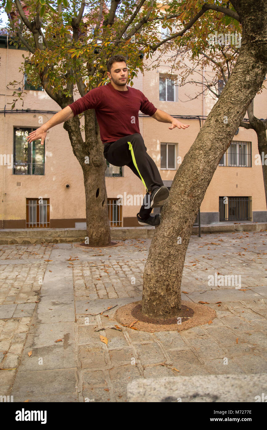Young man doing an amazing parkour trick on a tree in the street Stock ...