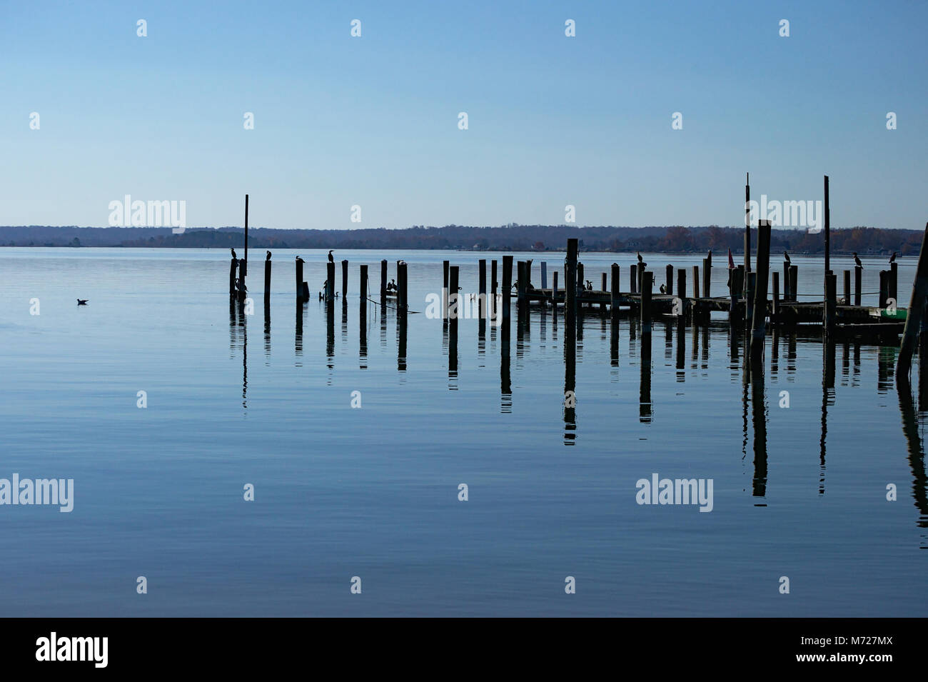 Weathered dock post in coastal waters Stock Photo - Alamy