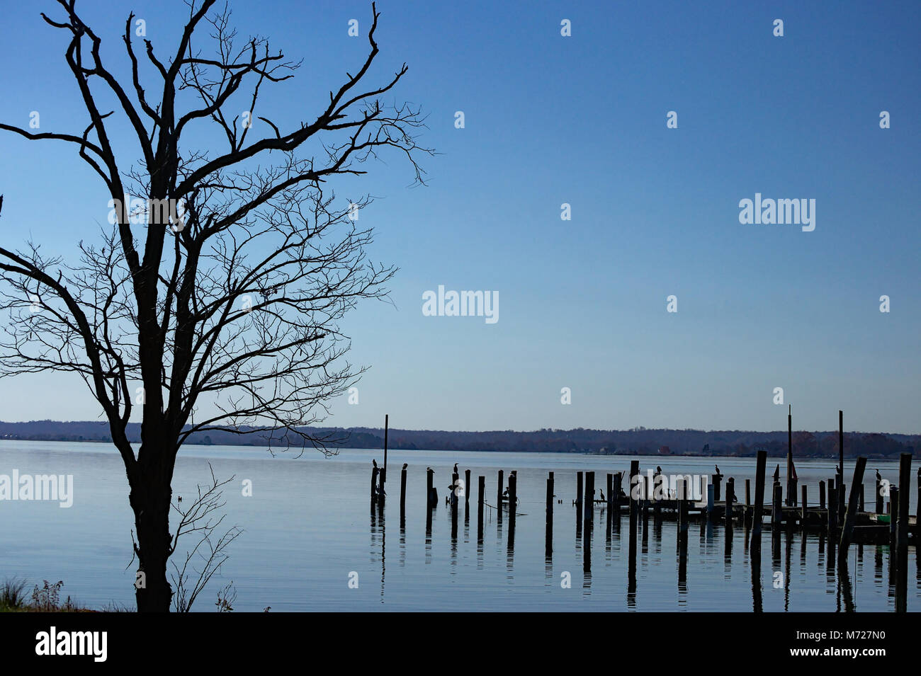 Weathered dock post in coastal waters Stock Photo - Alamy