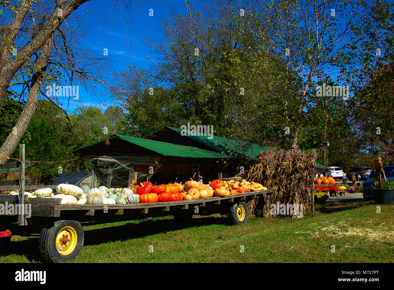 Curtis patch hi-res stock photography and images - Alamy