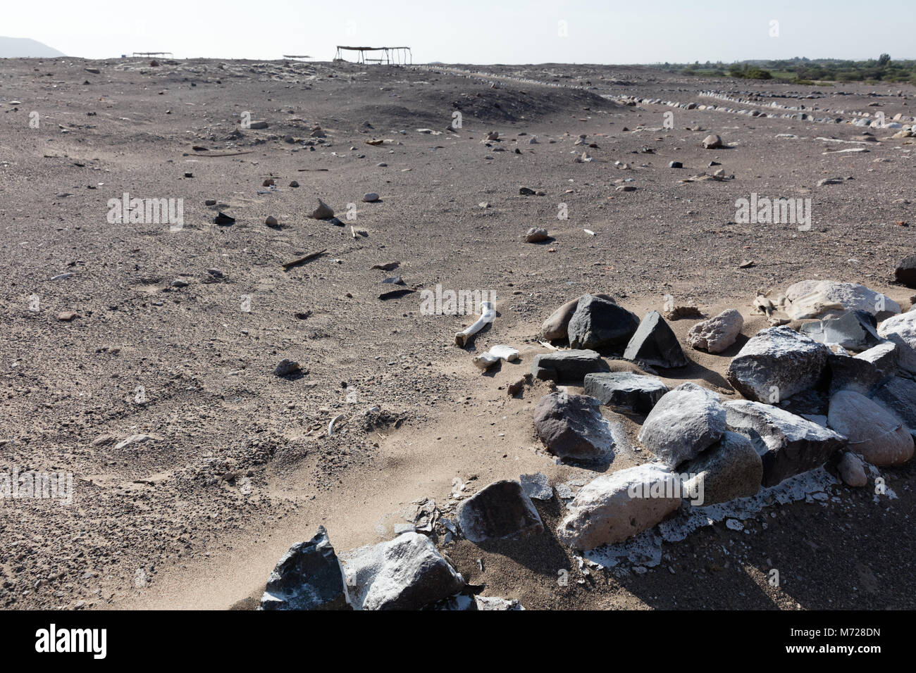 Bones in open inca cemetery in Nazca region , Peru Stock Photo - Alamy