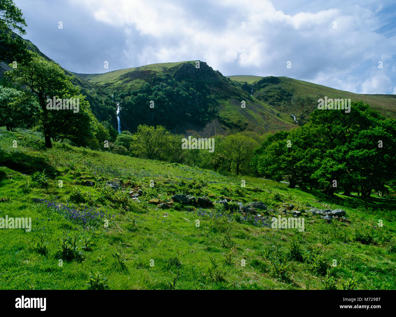 View looking S at the remains of a Medieval long hut (one of a pair ...