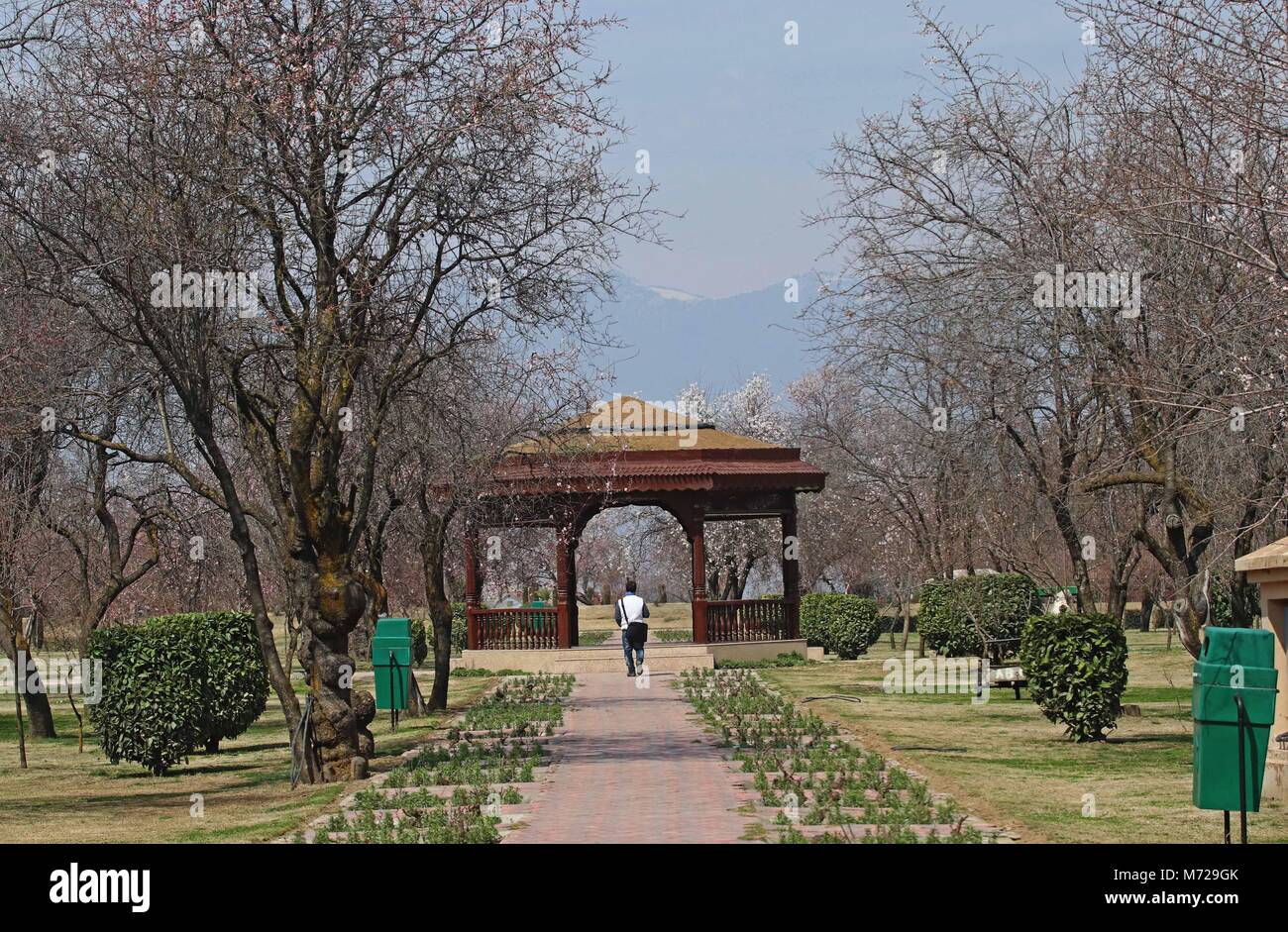 Badamwari garden hi-res stock photography and images - Alamy