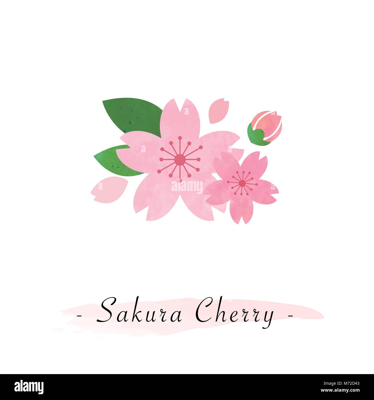 Colorful watercolor texture vector botanic garden flower pink sakura ...