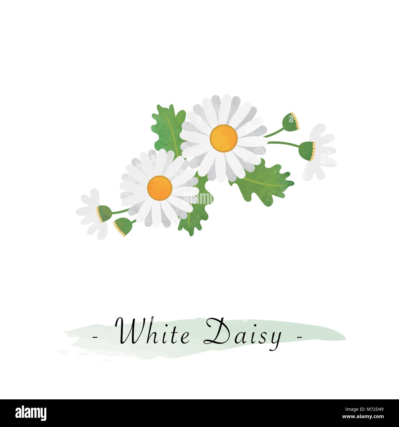 White daisy flower painting Stock Vector Images - Alamy