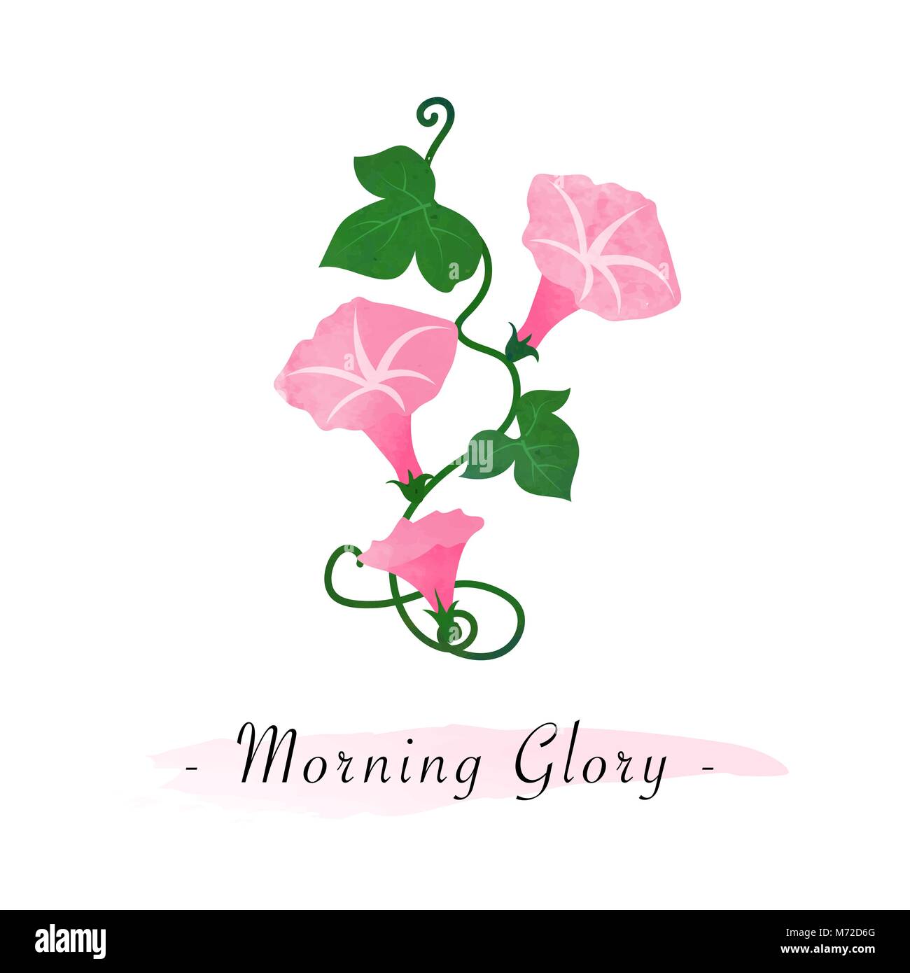 Colorful watercolor texture vector botanic garden flower pink morning ...