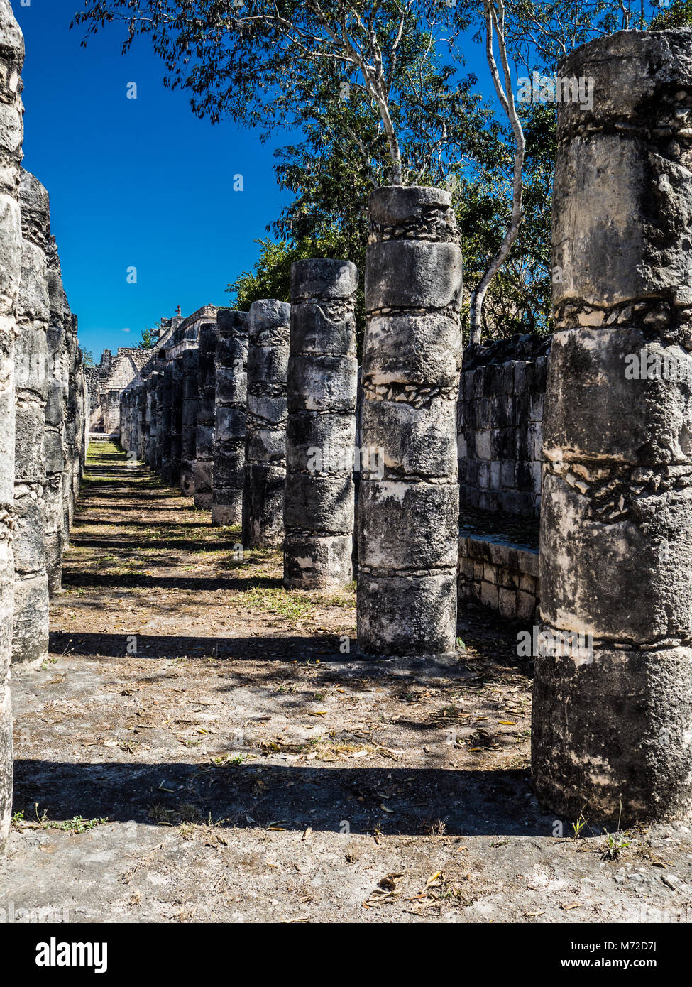 The Hall of the Thousand Columns is Adjacent to the Temple of the ...