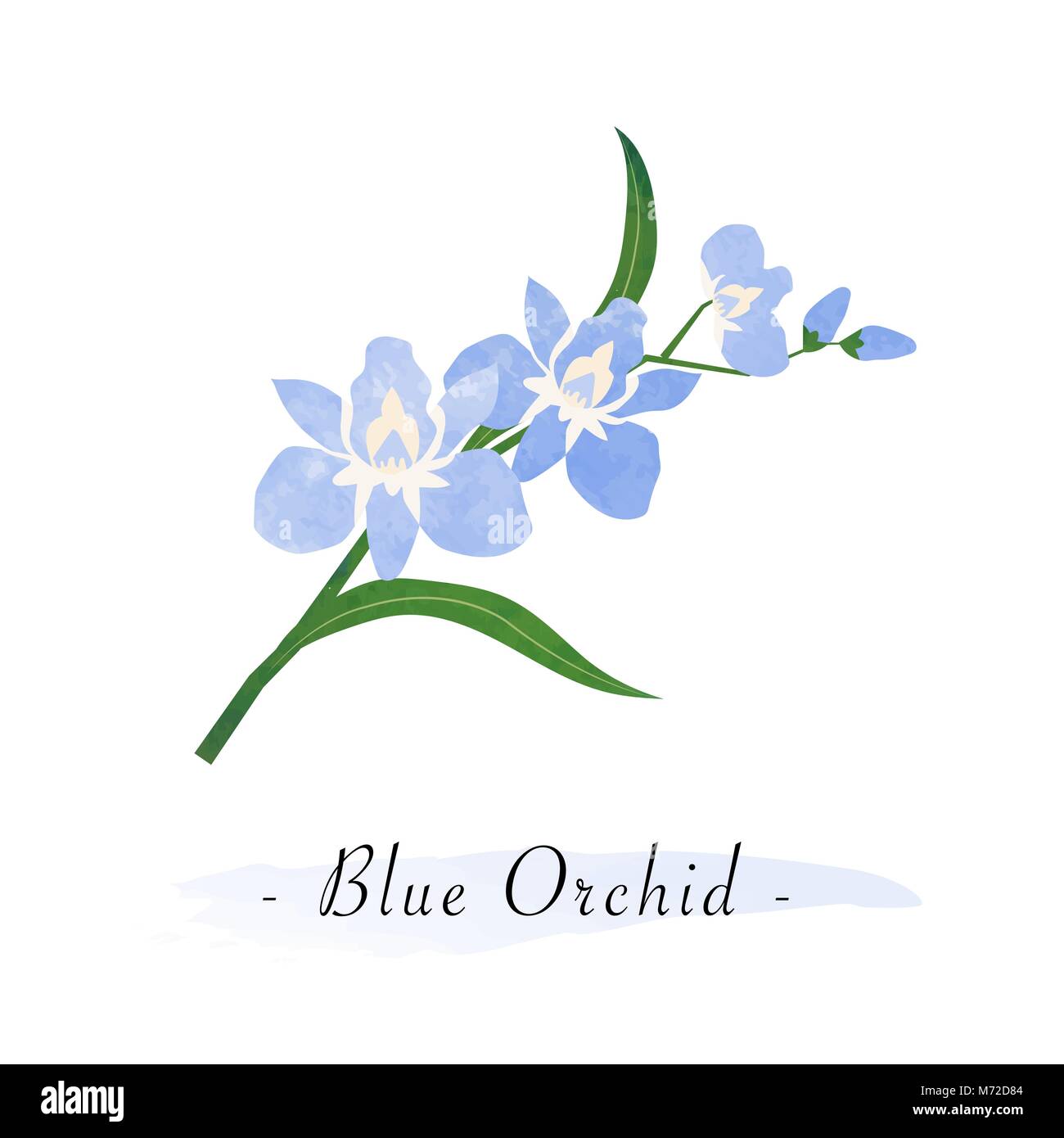 Colorful watercolor texture vector botanic garden flower light blue ...