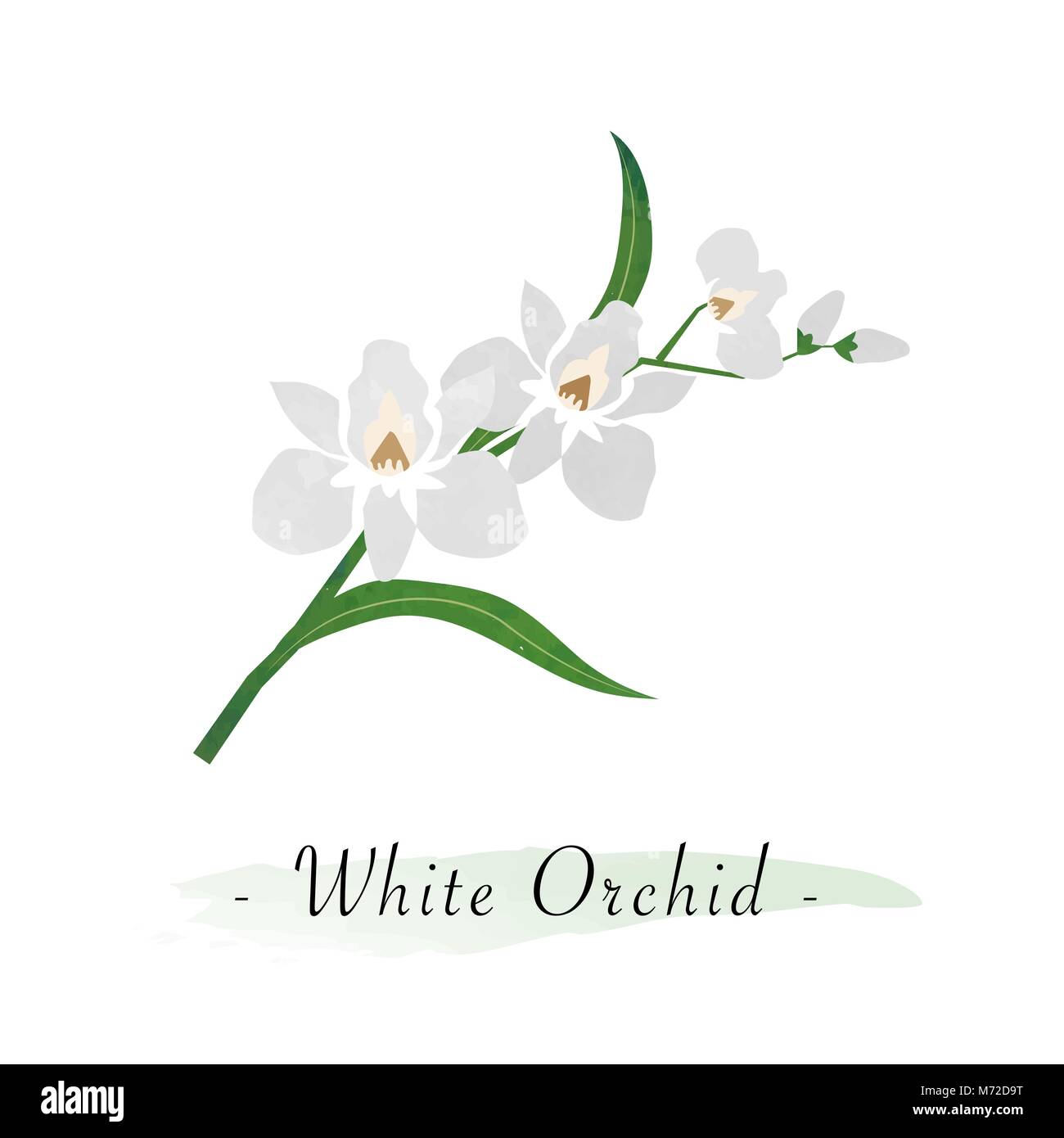 Colorful watercolor texture vector botanic garden flower white orchid ...