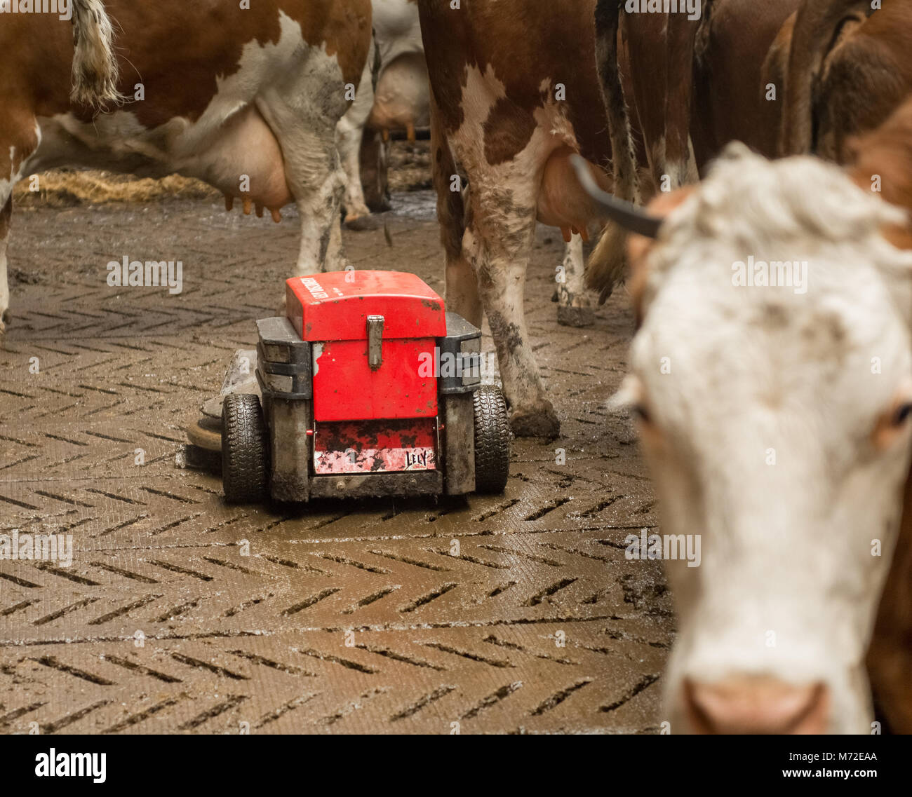 Scraper robot 2 Stock Photo - Alamy