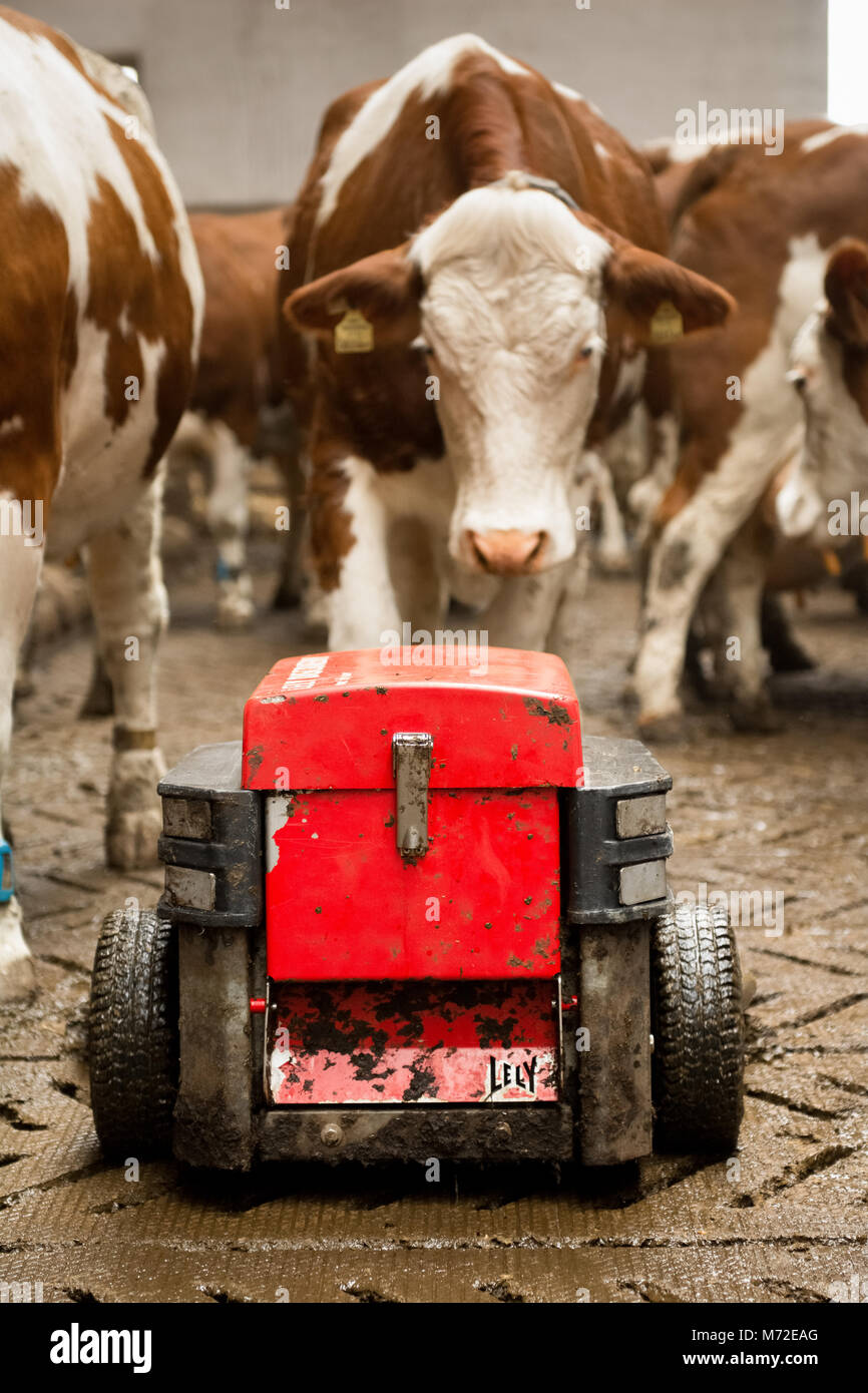 Scraper robot 4 Stock Photo - Alamy