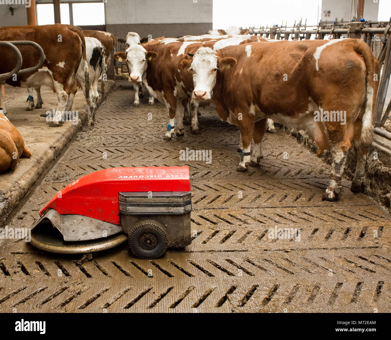 Scraper robot 5 Stock Photo - Alamy