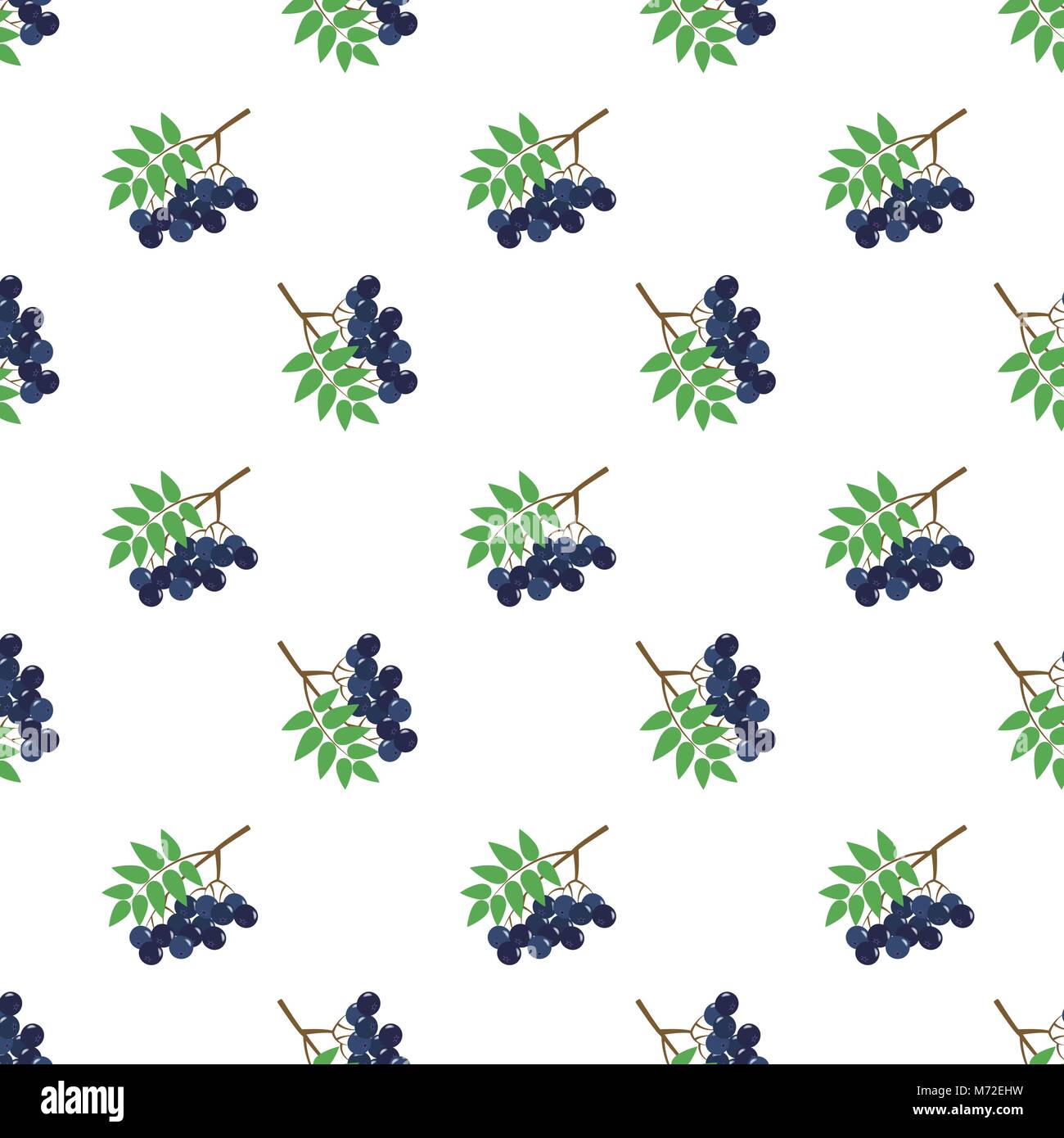 Seamless background image colorful tropical fruit black rowan berry ...