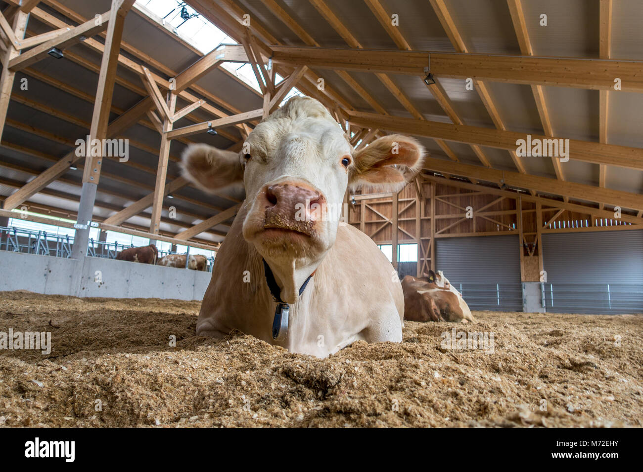 Compost stable 1 Stock Photo - Alamy