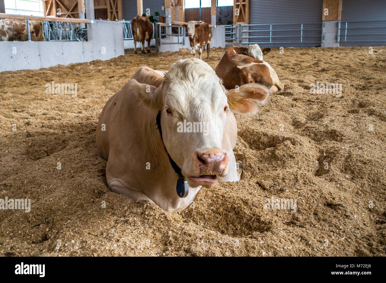 Compost pen hi-res stock photography and images - Alamy