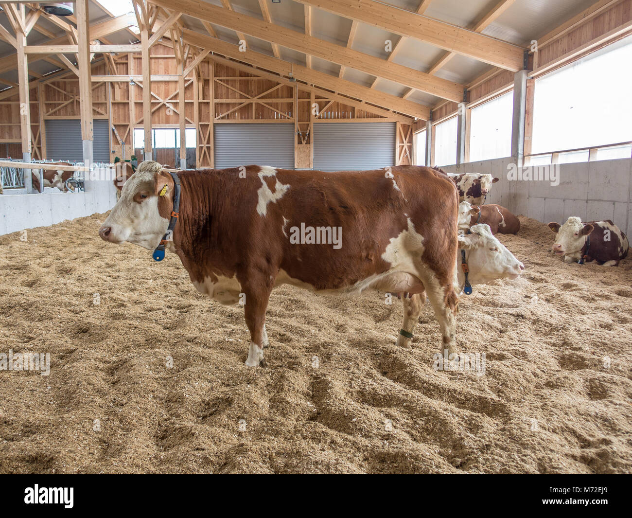 Compost stable 3 Stock Photo - Alamy