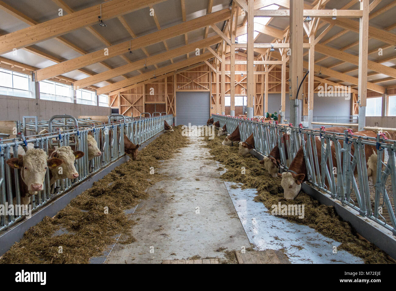 Compost pen hi-res stock photography and images - Alamy